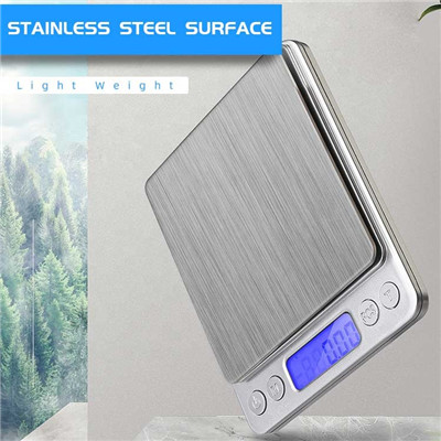 Mini electronic scale